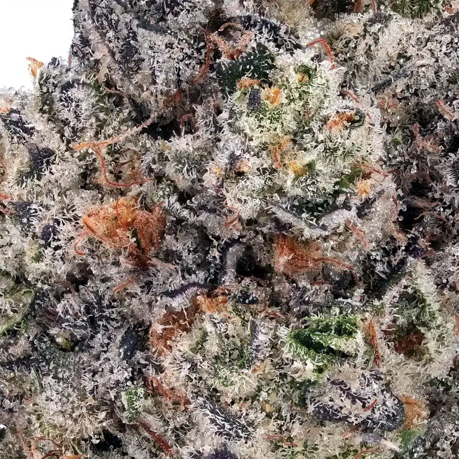 Brain Freeze - AAA Private Reserve Flower (Hybrid) - Dank 2 Your Door
